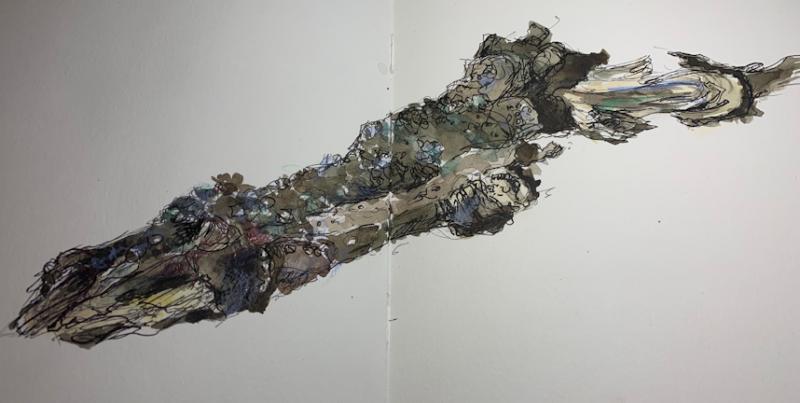 rotting log - WetCanvas: Online Living for Artists