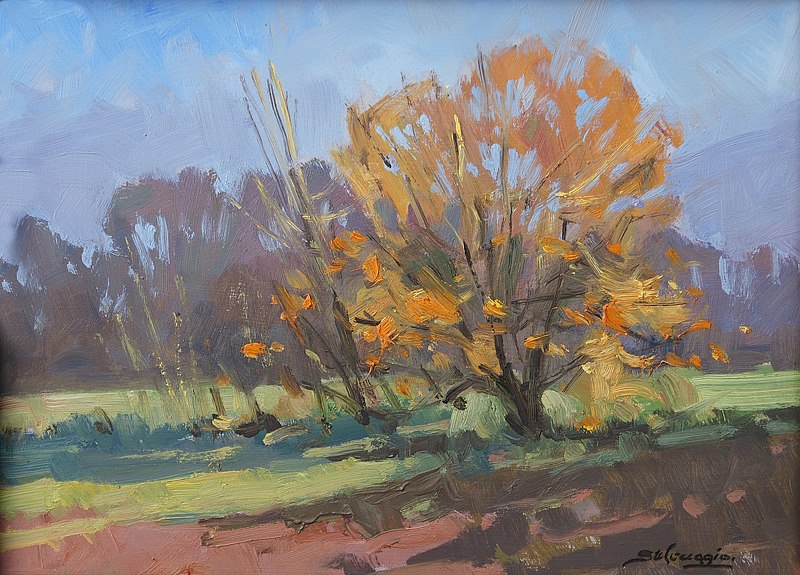 Jose Salvaggio - WetCanvas: Online Living for Artists