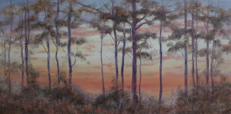 Karri Tree Silhouette - WetCanvas: Online Living for Artists