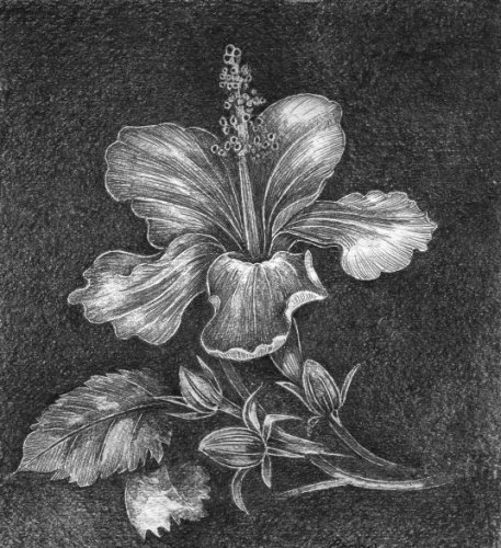 Pencil Embossing Wip - WetCanvas: Online Living for Artists