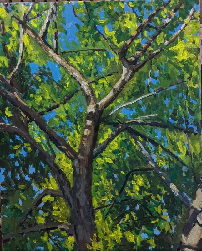 WIP Tree of Forgiveness - WetCanvas: Online Living for Artists