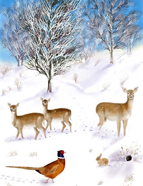 Deer - WetCanvas: Online Living for Artists