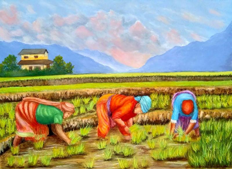रोपाईं (Ropai)- Rice planting in Nepal - WetCanvas: Online Living for ...