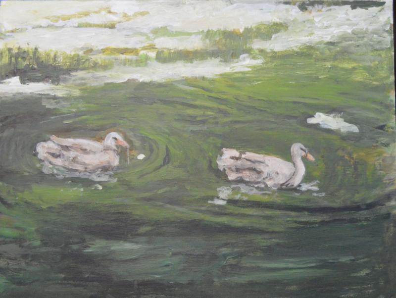 Ducks - WetCanvas: Online Living for Artists