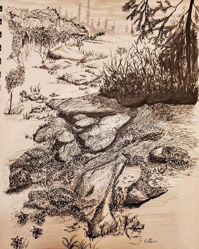 Forest rocks - WetCanvas: Online Living for Artists