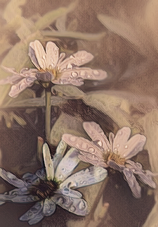 Daisy Collage - WetCanvas: Online Living for Artists