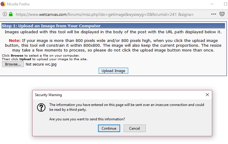 how to fix the "not secure site" - WetCanvas: Online Living for Artists