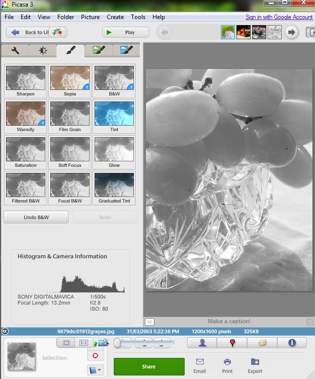 Making a Line Drawing from a Picture-Picasa - WetCanvas: Online Living ...