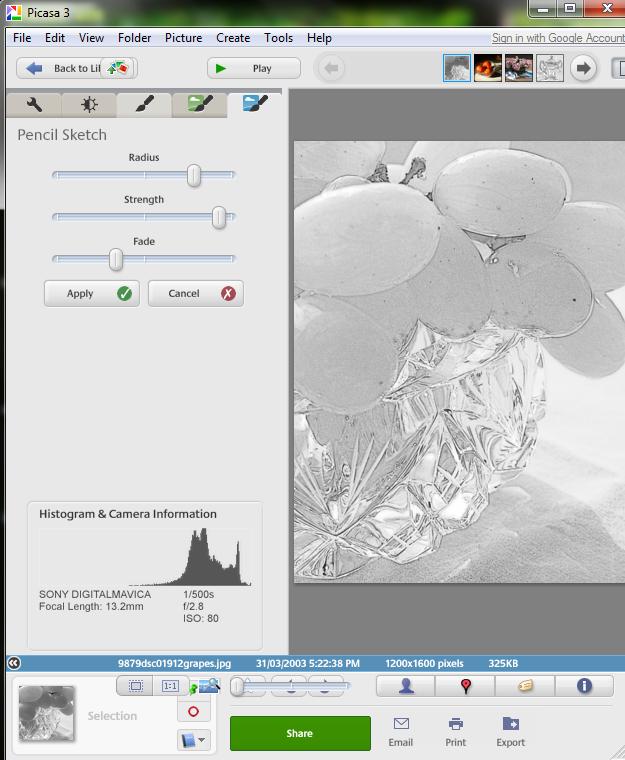 Making a Line Drawing from a Picture-Picasa - WetCanvas: Online Living ...