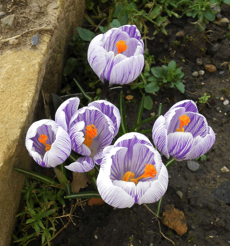“WDE 22nd feb 2019: IMAGES HERE” - WetCanvas: Online Living for Artists