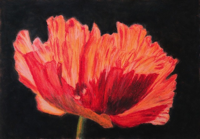 May paintings - WetCanvas: Online Living for Artists