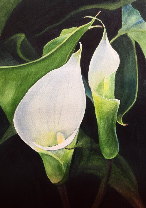 Calla Grace - WetCanvas: Online Living for Artists