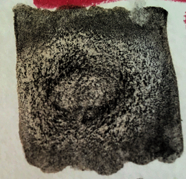 Painting with Magnets - WetCanvas: Online Living for Artists