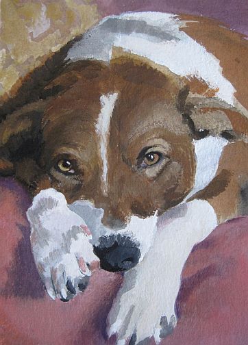 Gouache- Dog: step-by-step - WetCanvas: Online Living for Artists