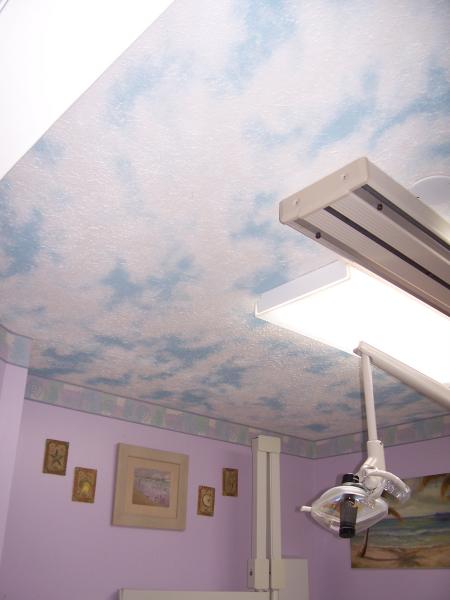 Completed Sky on Stipple-textured ceiling...eek! - WetCanvas: Online ...