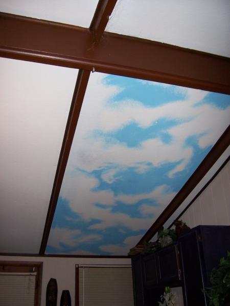 Completed Sky on Stipple-textured ceiling...eek! - WetCanvas: Online ...