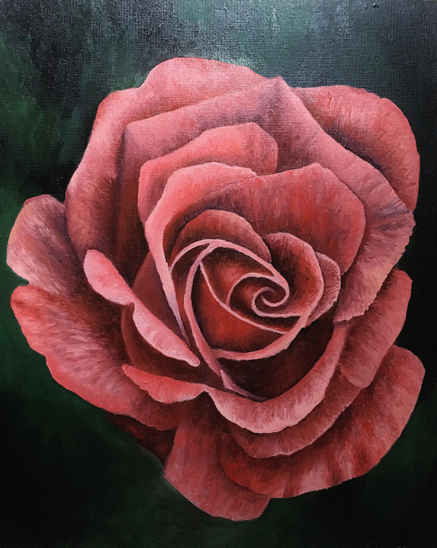 Rose Up Close - WetCanvas: Online Living for Artists
