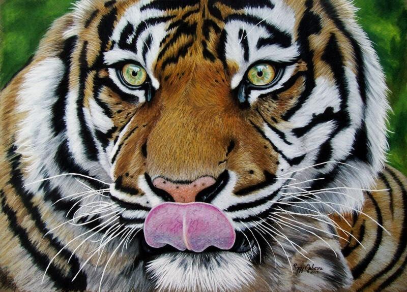 Animal Artists - Which pencils? - WetCanvas: Online Living for Artists
