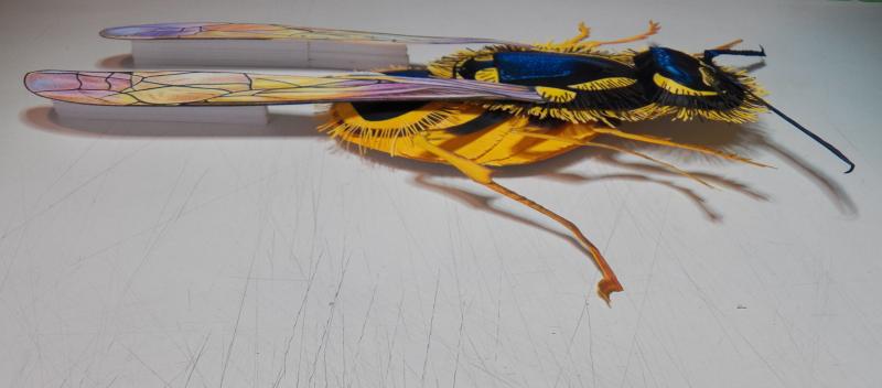 Wasp ~ paper sculpture - WetCanvas: Online Living for Artists