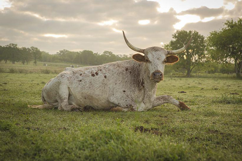 August 2018 Challenge - Join the Fun! - WetCanvas: Online Living for ...