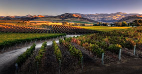 Mendocino County Winery Map - WineCountry.com