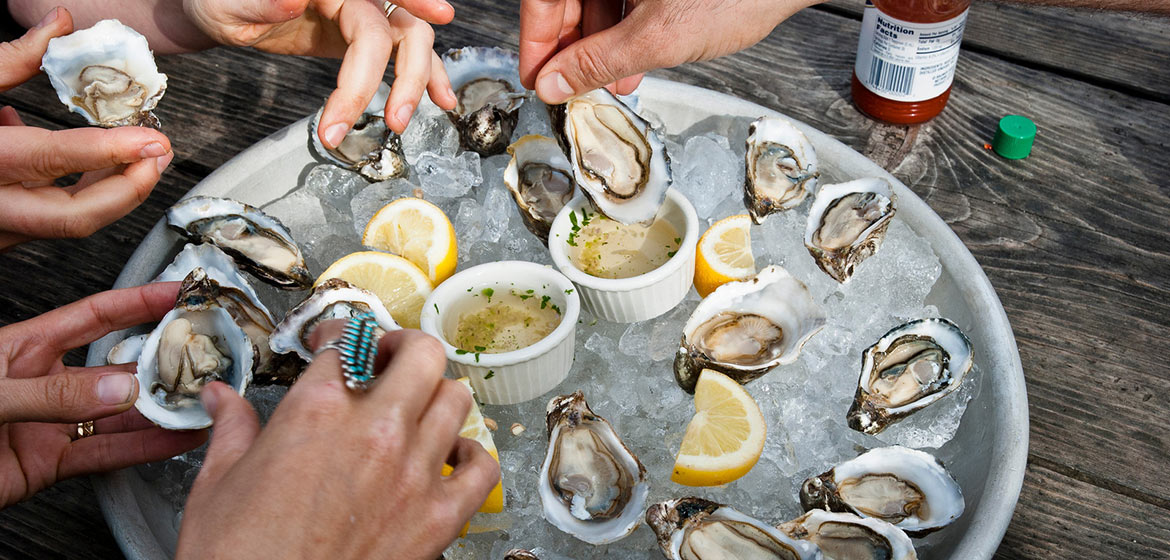 Taste of Point Reyes Culinary Tour - WineCountry.com