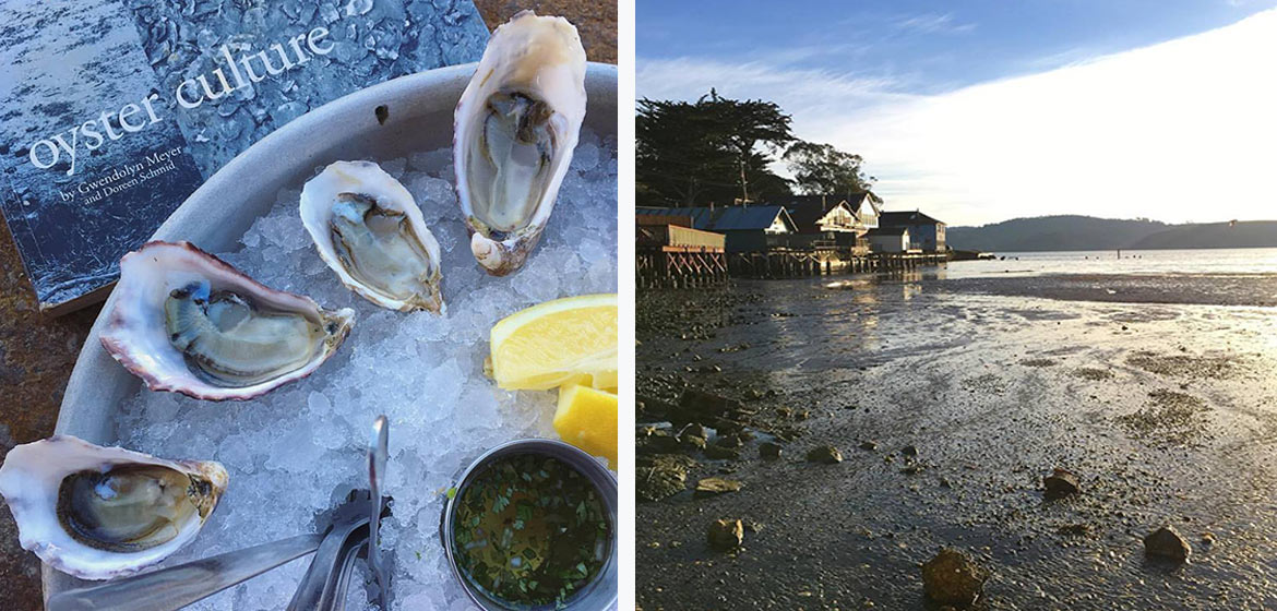 Taste of Point Reyes Culinary Tour | WineCountry.com