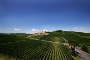 10 Must-Know Facts About Brazilian Wine - WineCountry.com