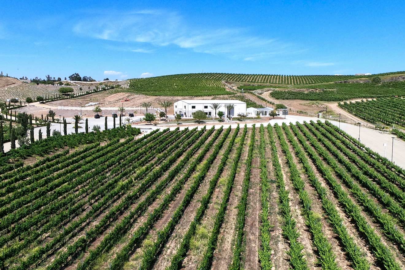 14 Best Temecula Wineries to Visit - WineCountry.com