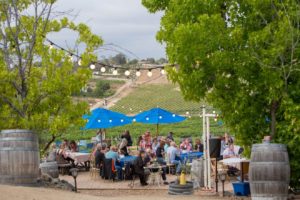 14 Best Temecula Wineries to Visit - WineCountry.com