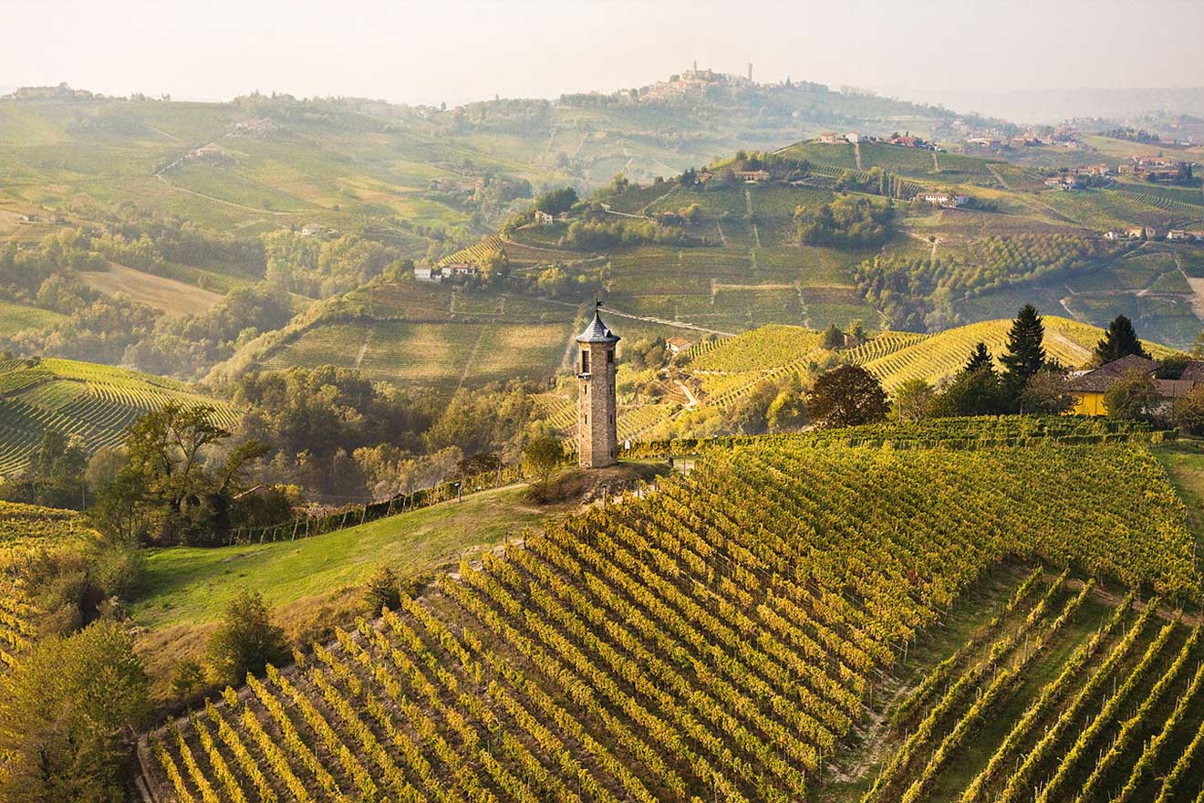 A Beginner’s Guide to Moscato Wine - WineCountry.com