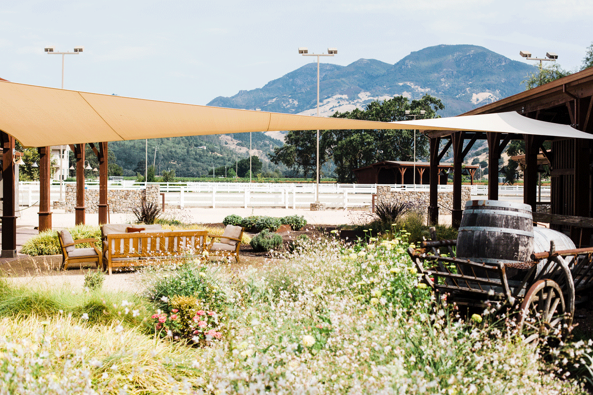 Courtyard Wine Tasting & Ranch Picnic - WineCountry.com