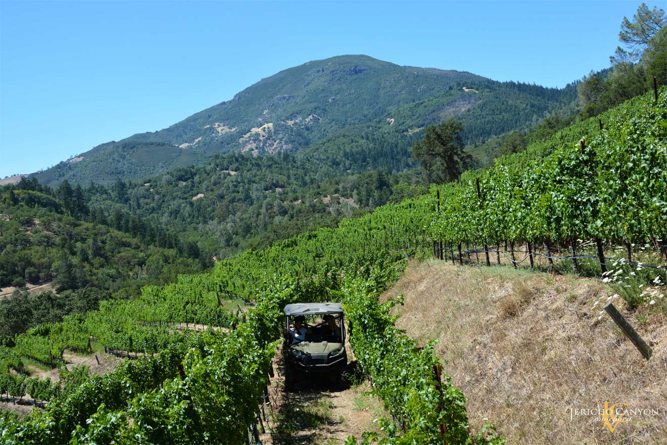10 Must-Visit Calistoga Wineries - WineCountry.com