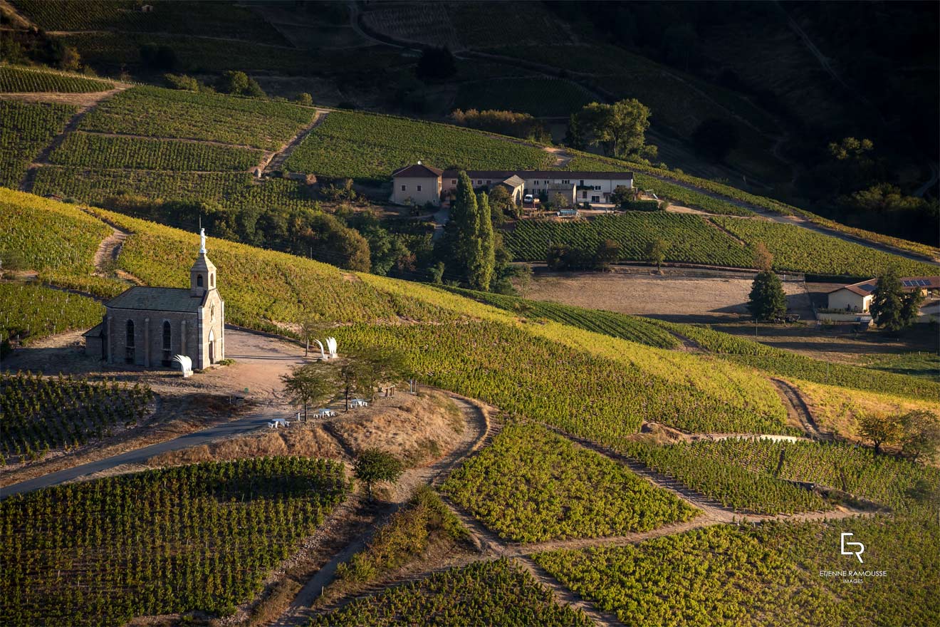 All About Beaujolais Nouveau - WineCountry.com