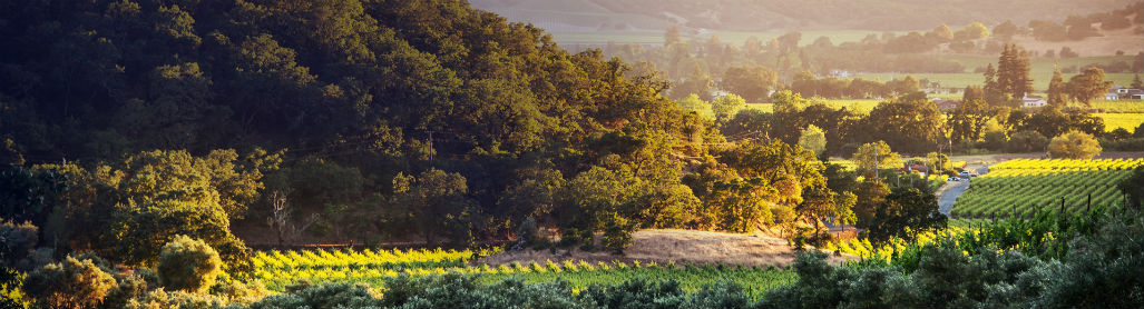 Napa Valley Wineries - Compare 2018's Best Wineries