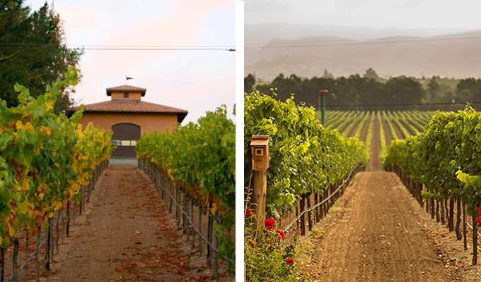 2-Day Oak Knoll Wine Tasting Guide