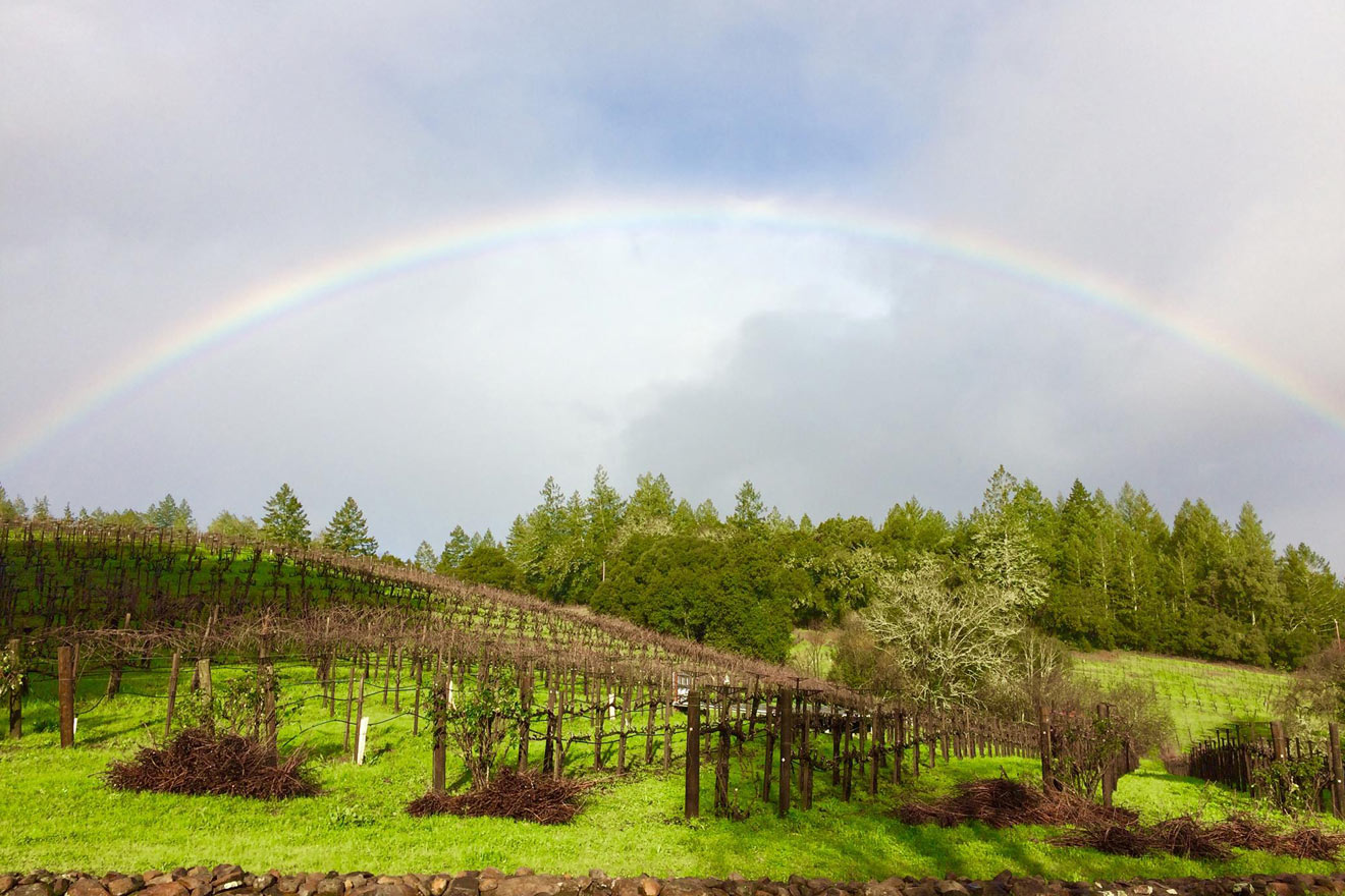 Top 7 Winery Tours in Calistoga - NapaValley.com