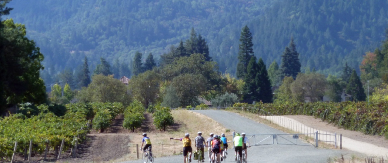 What is the Napa Valley Vine Trail? | NapaValley.com