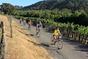 Wine Tasting Adventures on Two Wheels | Biking and Wine Tasting ...