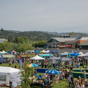- NapaValley.com