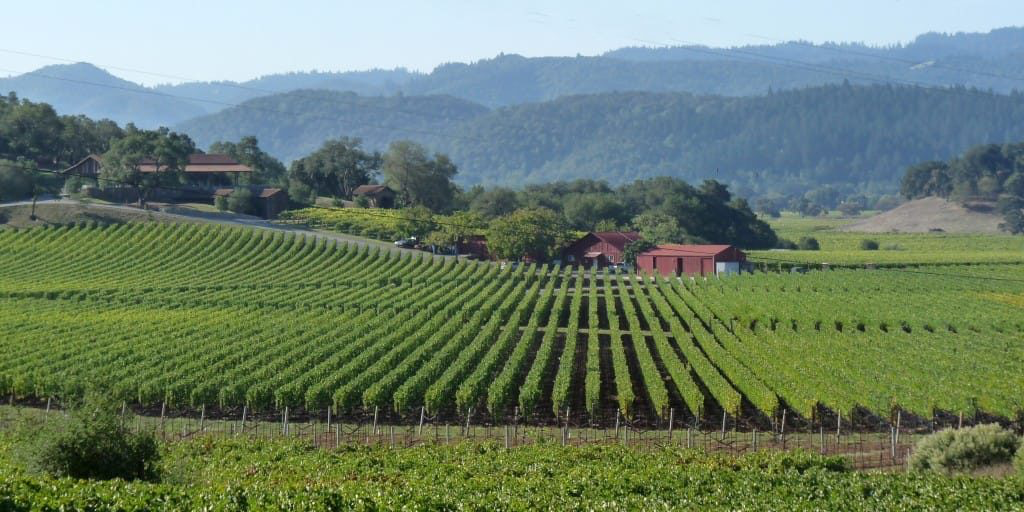 Oakville & Rutherford, California Travel Guide - NapaValley.com