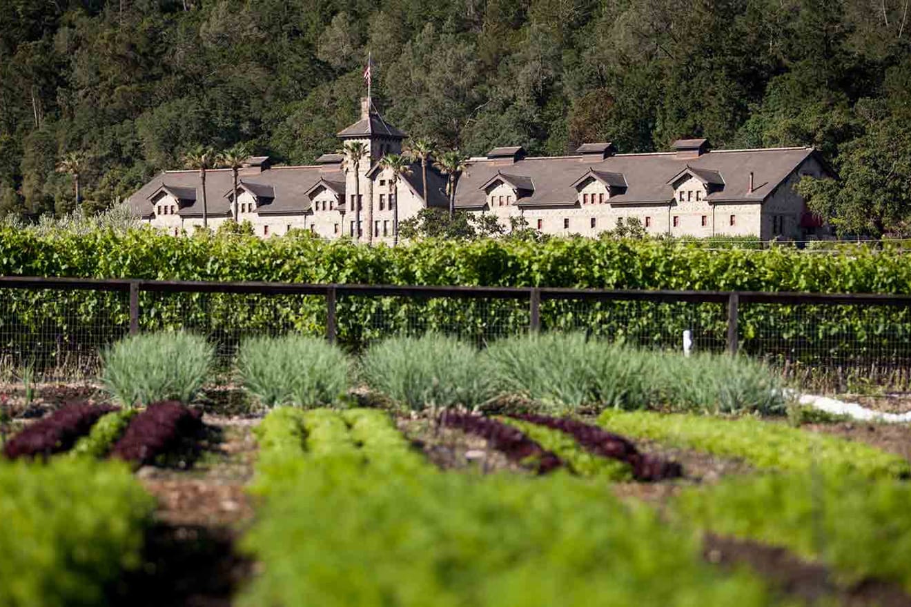 Ultimate Guide to St. Helena - NapaValley.com