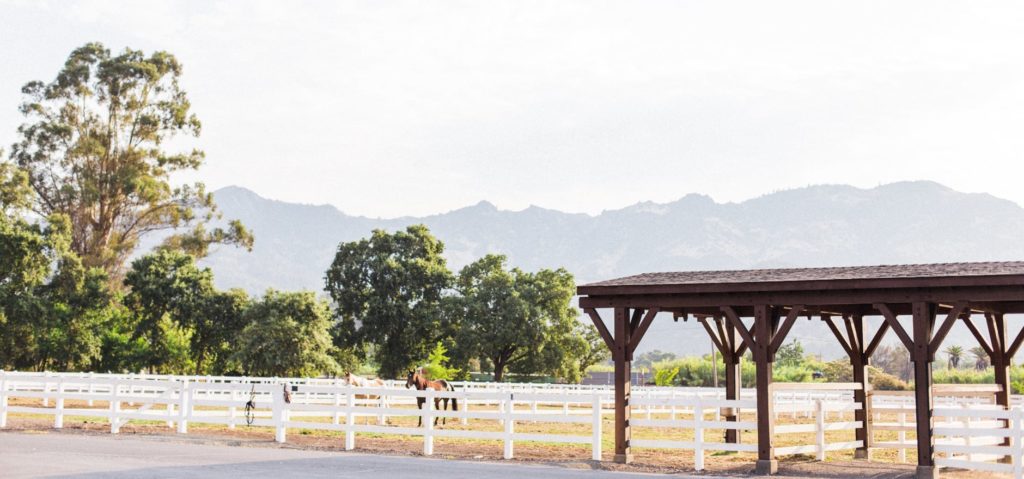 7 Unexpected Ways to Experience Tamber Bey Vineyards - NapaValley.com