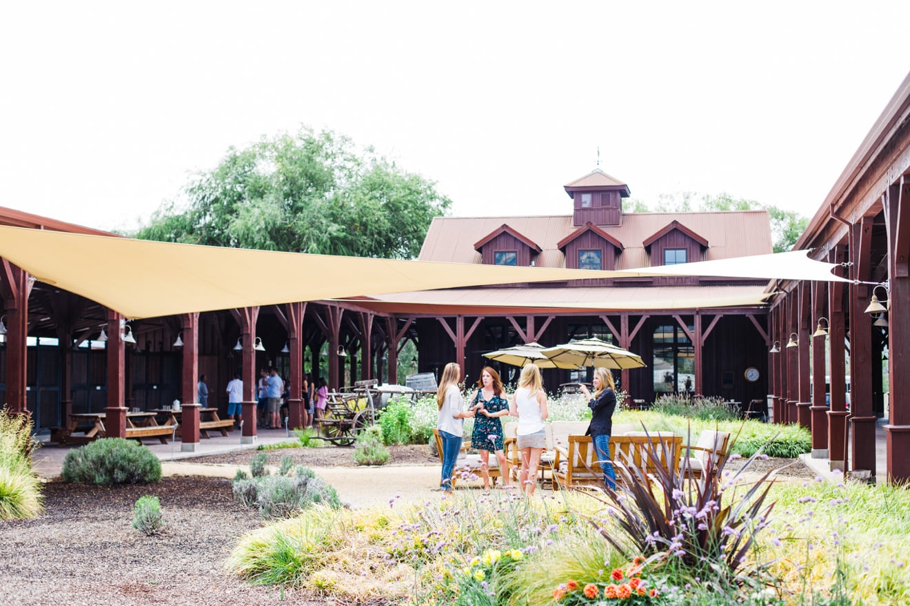 7 Unexpected Ways to Experience Tamber Bey Vineyards - NapaValley.com