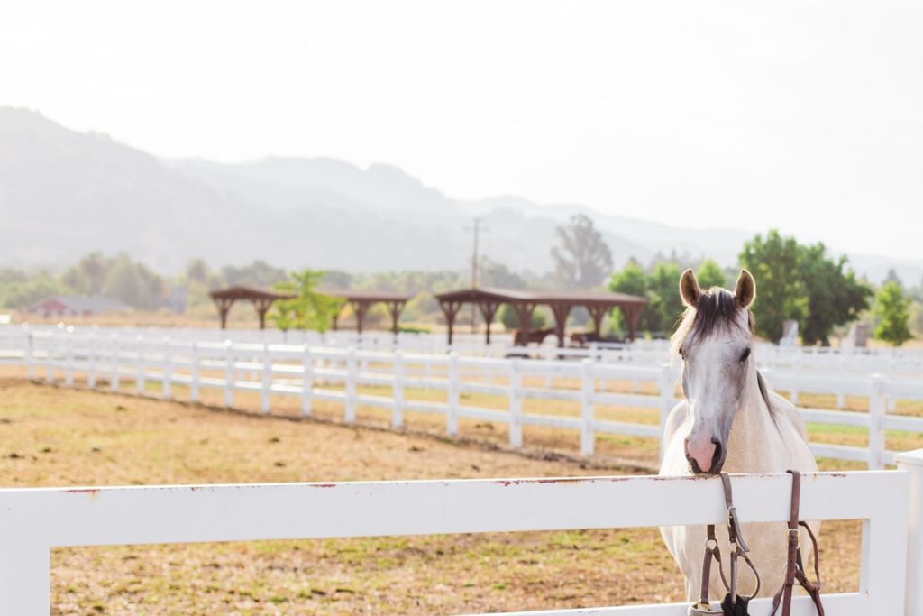 7 Unexpected Ways to Experience Tamber Bey Vineyards - NapaValley.com