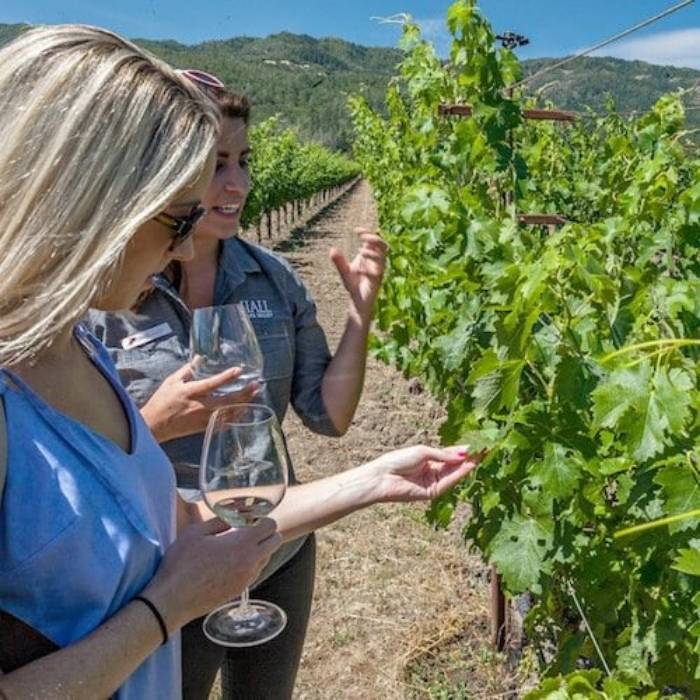 Things to Do in Napa Valley - 2022's Top Activities