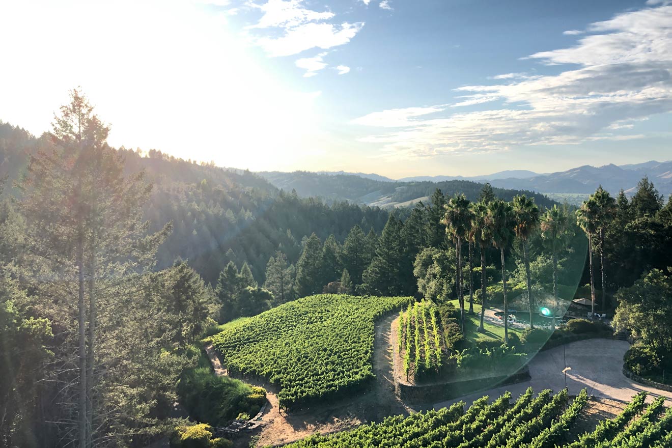 The 15 Best Wineries in Calistoga - NapaValley.com