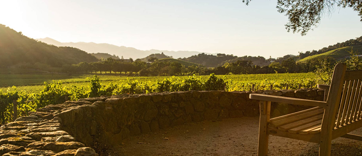 Napa Valley | Explore Napa Valley Online