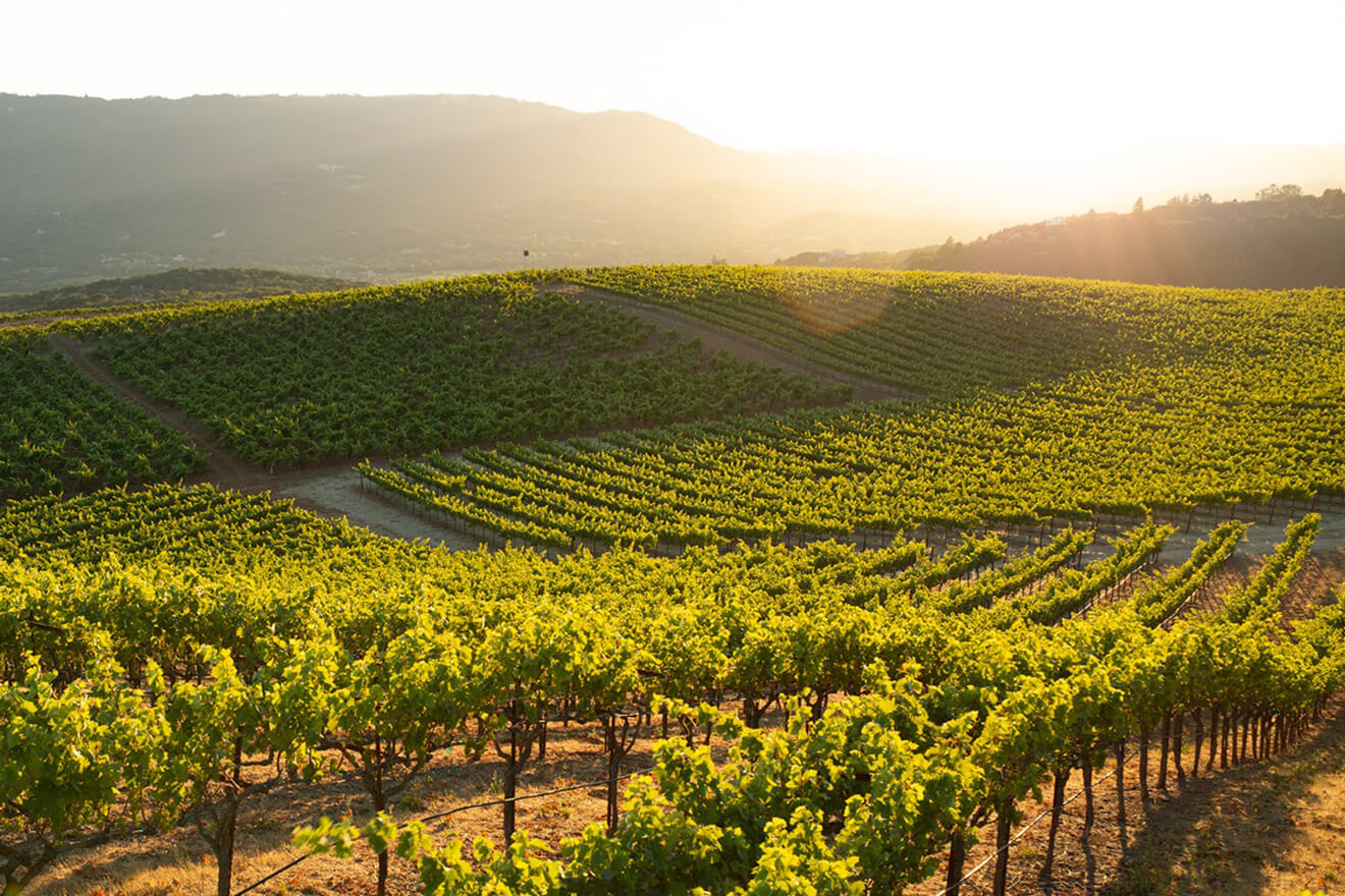 The 10 Most Beautiful Wineries in Napa Valley - NapaValley.com