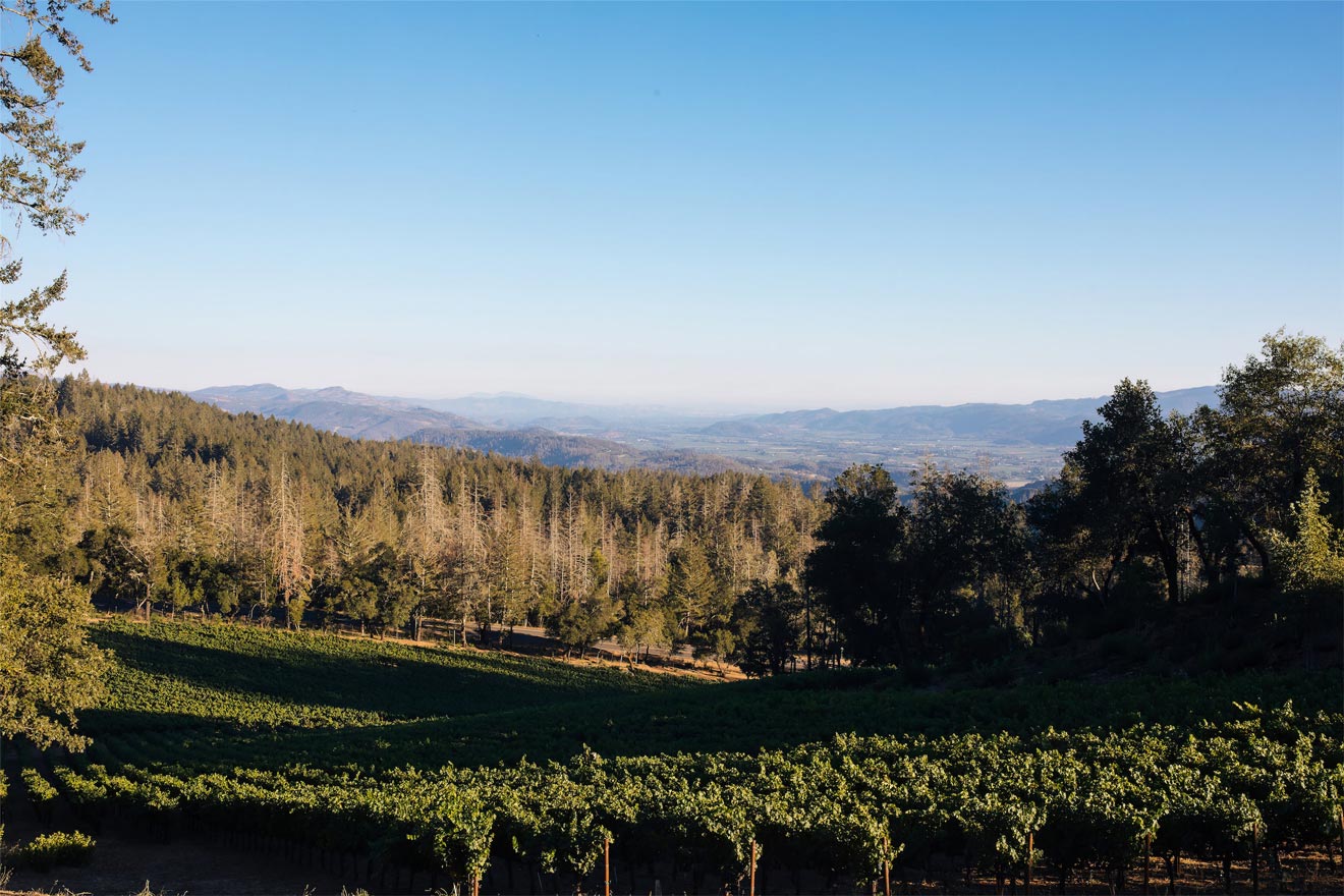10 Most Sustainable Wineries in Napa - NapaValley.com